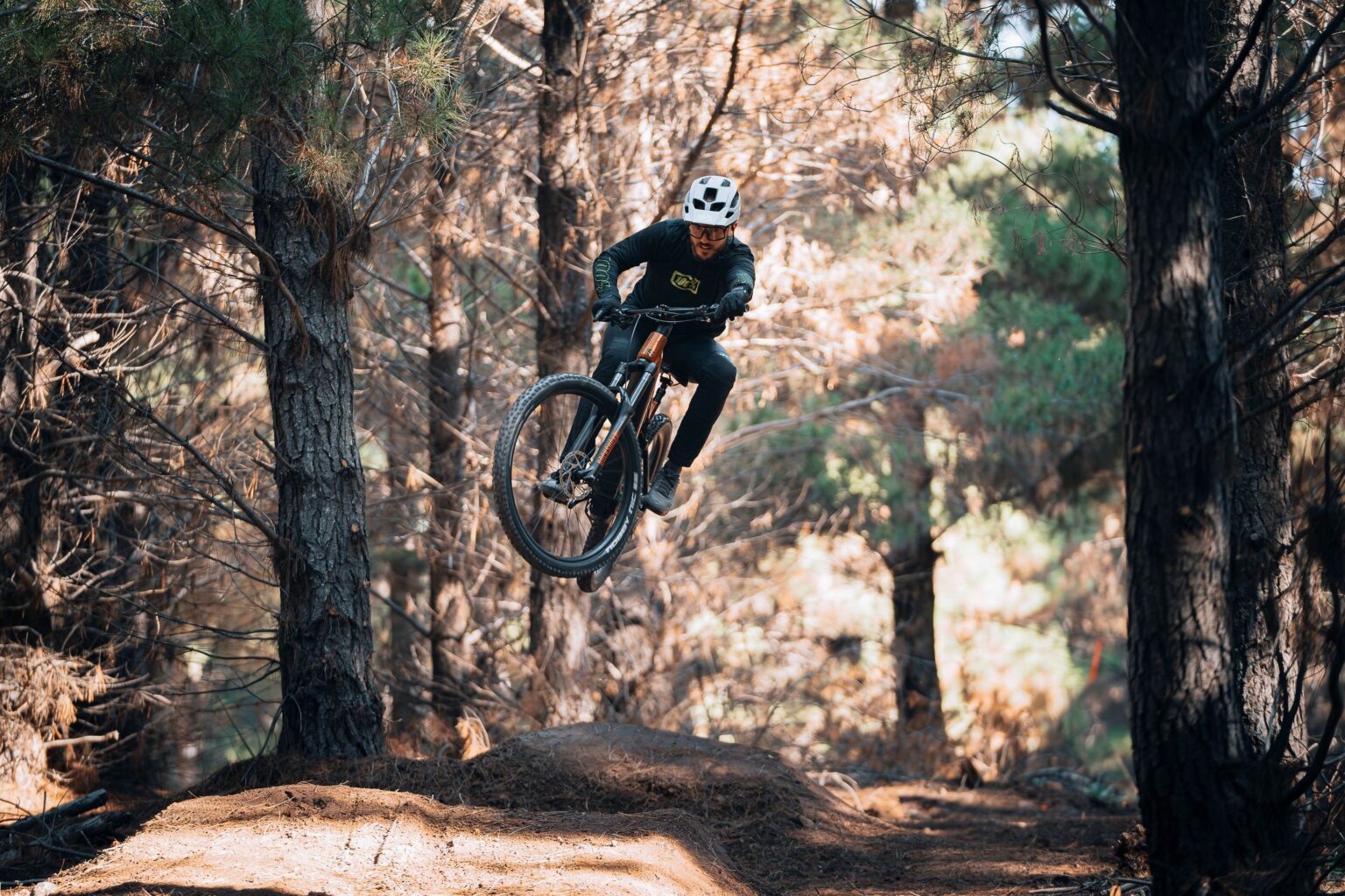 Superior eXF 9019 B Electric Dual Suspension Mountain Bike Review ...