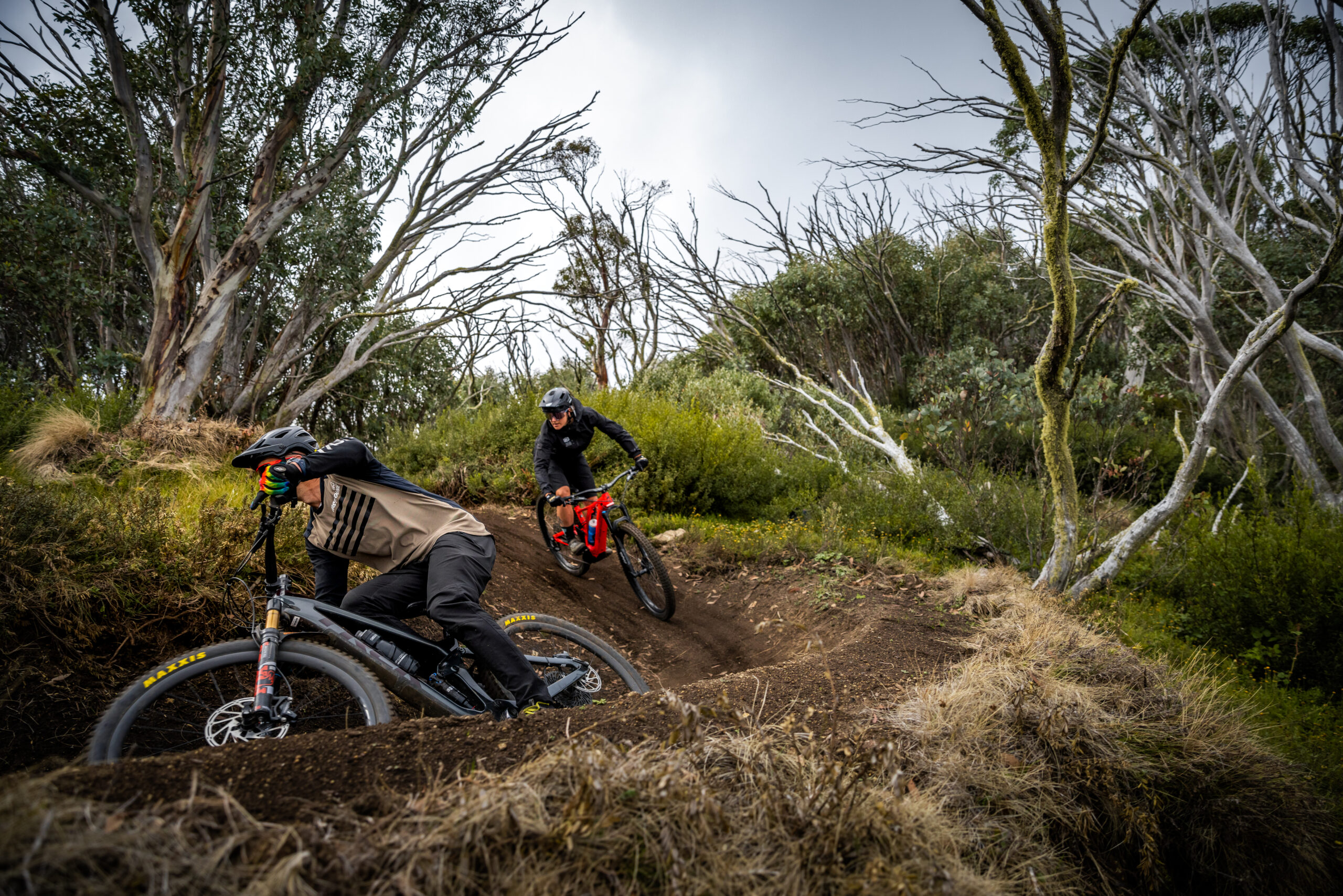 Top 15 Best Mountain Bike Parks Australia for Summer 2024 - Australian ...