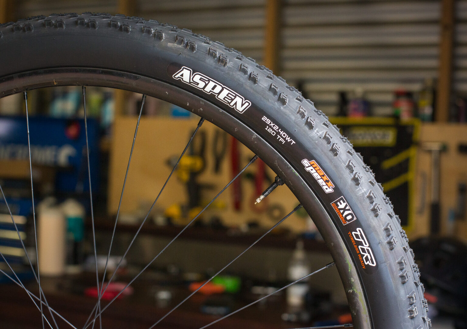 Buyers Guide: 4 Maxxis Cross Country Tyres for 2024 - Australian ...