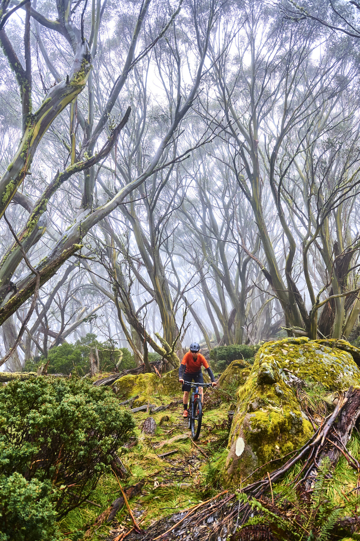 Top 15 Best Mountain Bike Parks Australia for Summer 2024 - Australian ...