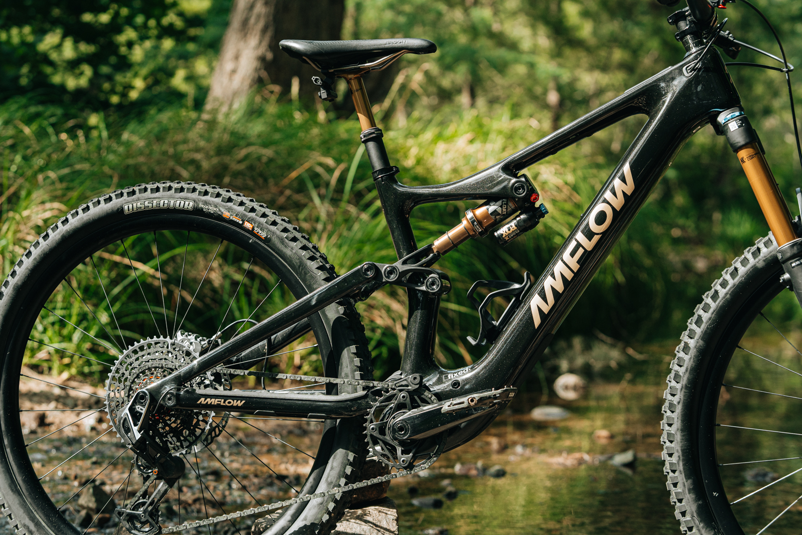 Amflow PL Carbon Pro E-bike Review – Lightweight, High Torque, and ...