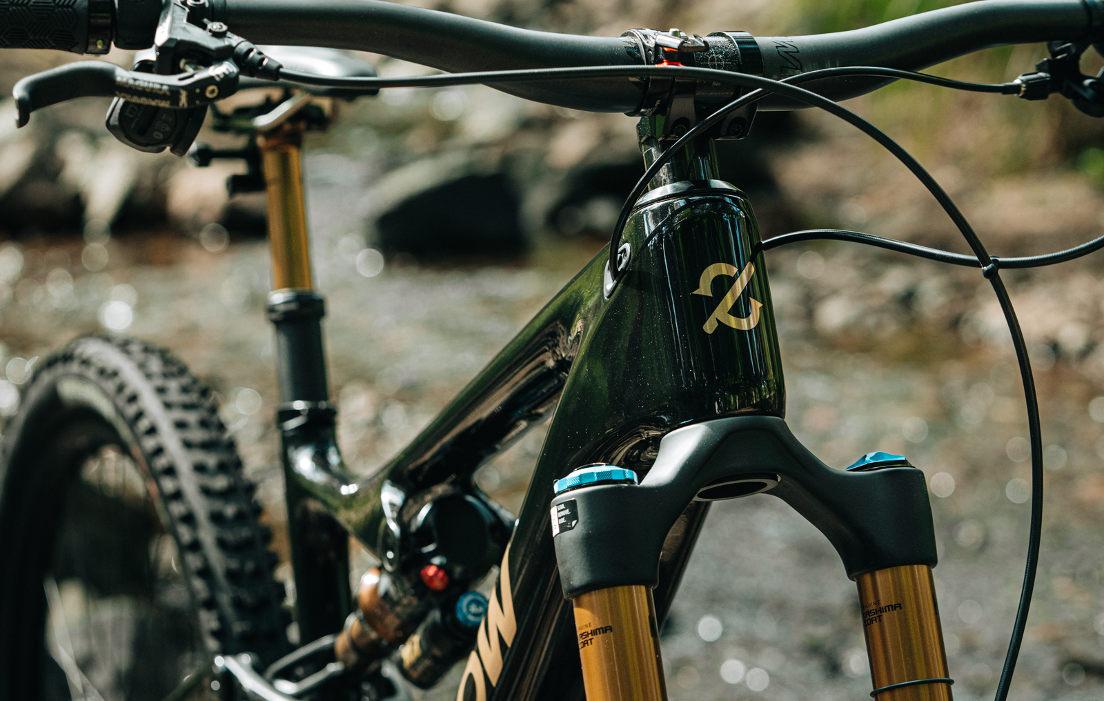 Amflow PL Carbon Pro E-bike Review – Lightweight, High Torque, and Built to Rip - Australian ...