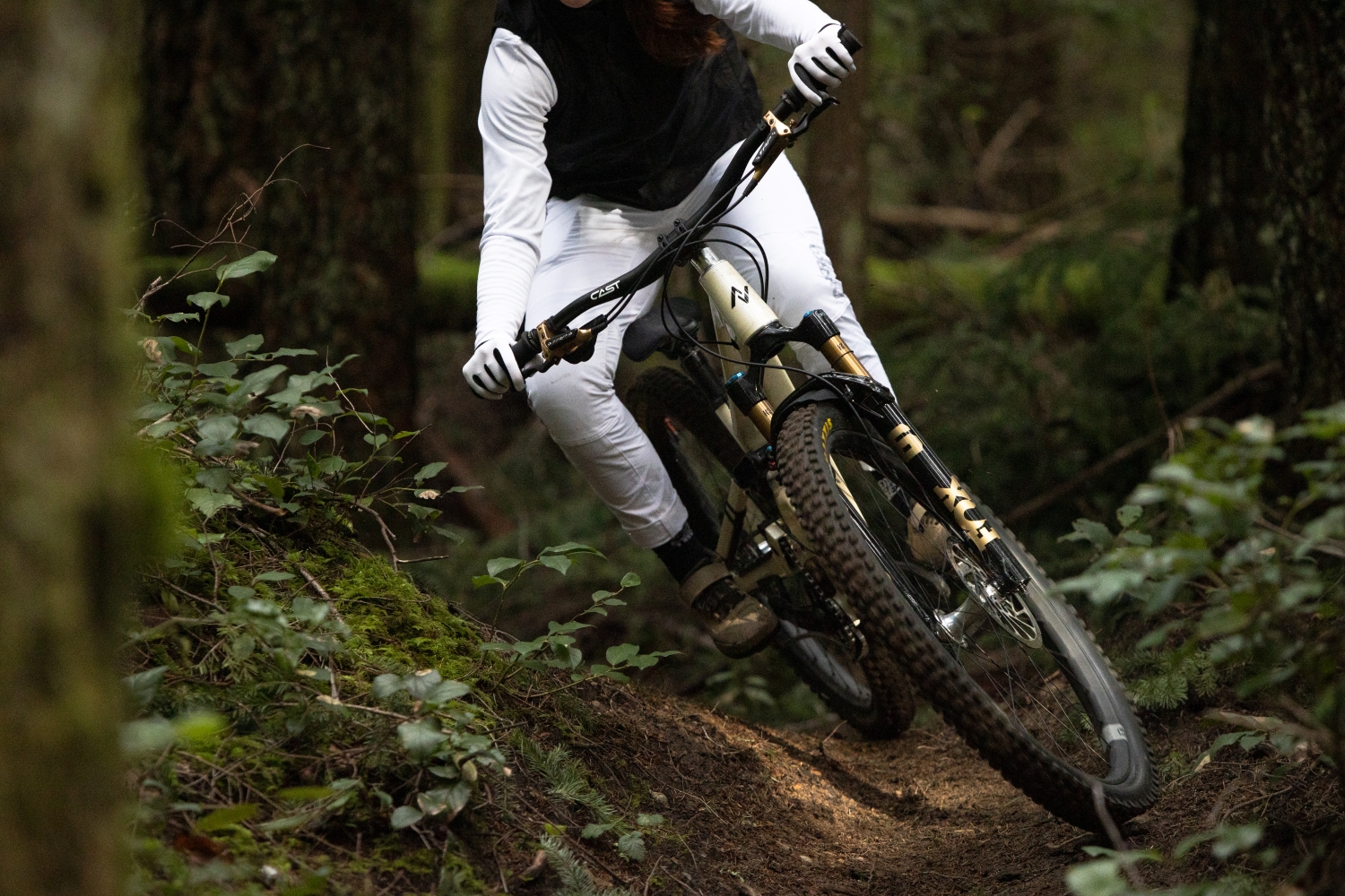 2026 Fox 36 & 36 SL Forks Released - Australian Mountain Bike