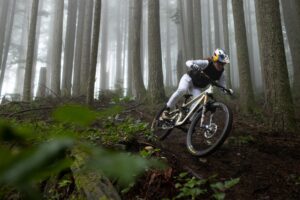 2026 Fox 36 & 36 SL Forks Released - Australian Mountain Bike