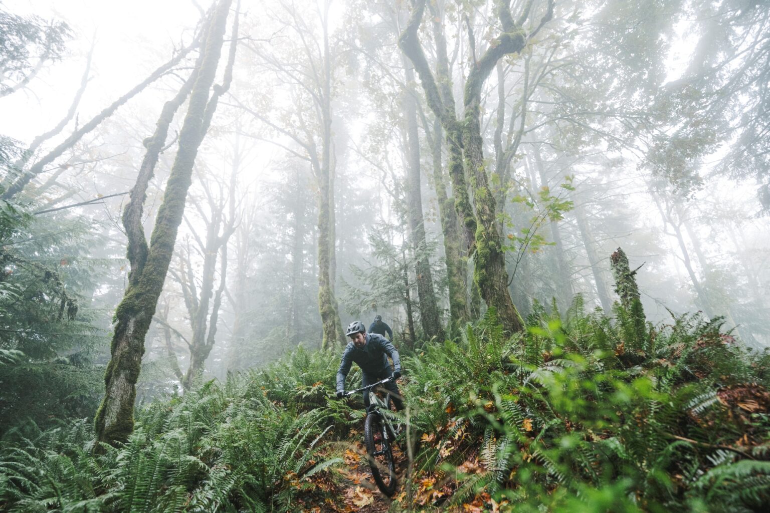 SRAM Launches Motive, Maven, and DB Brakes - Australian Mountain Bike