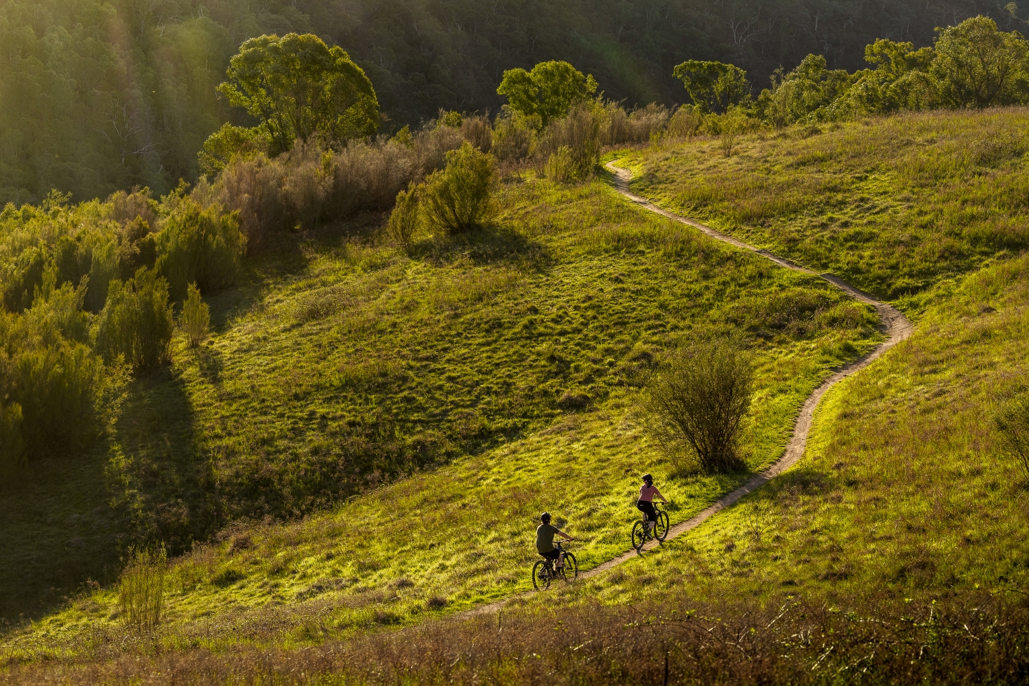Centenary Trail Canberra Guide: 145km Bike Loop Through Nature, History ...