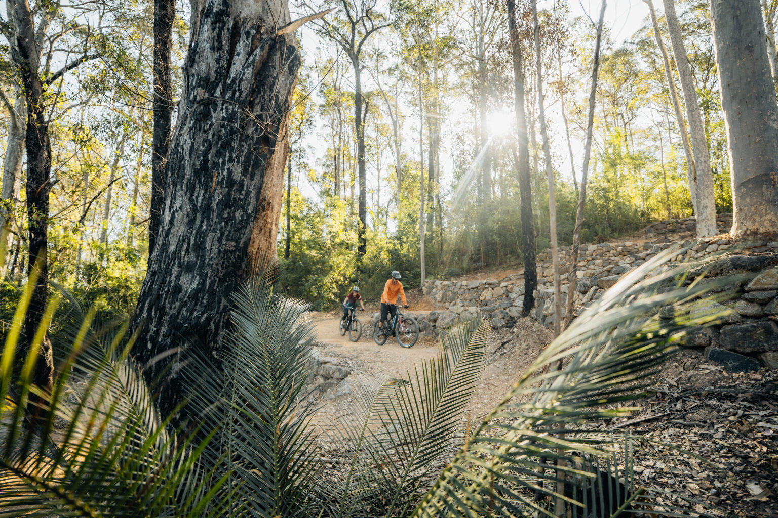 Mogo’s New Burnaaga-Goanna Trail Is a Must-Ride for Mountain Bikers ...