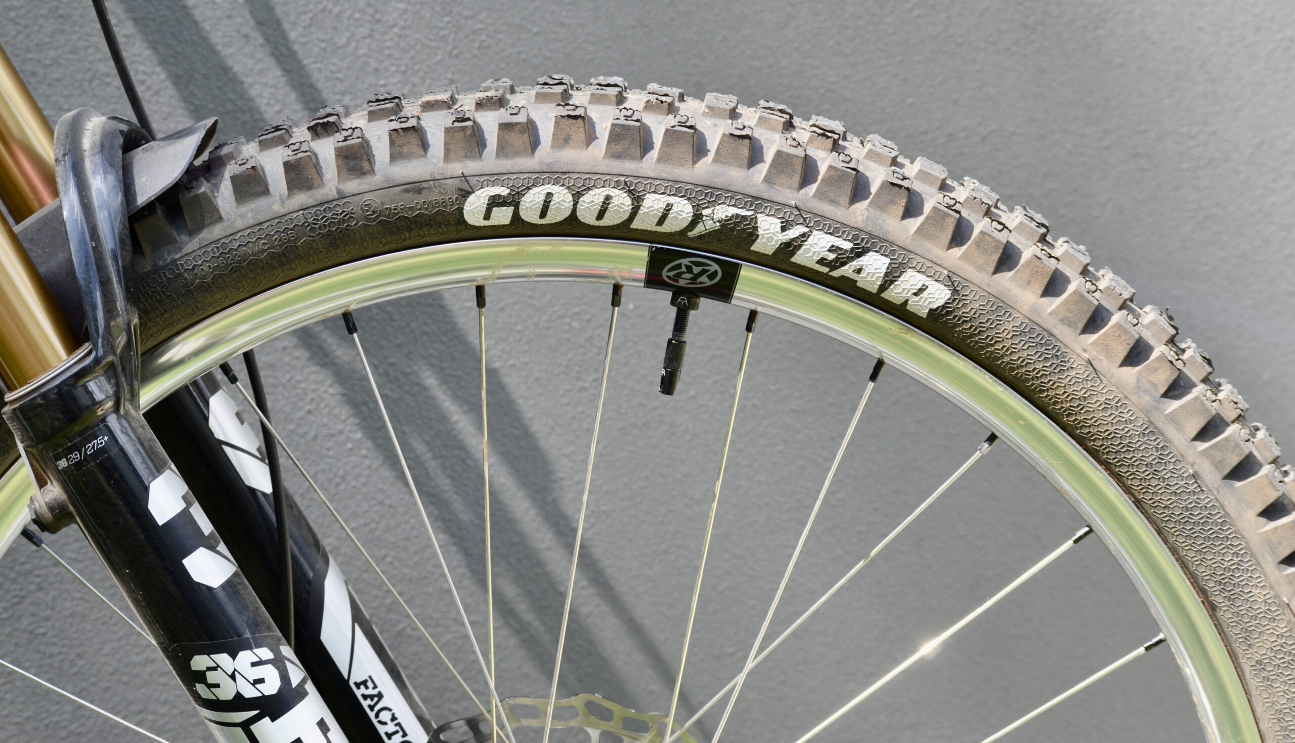 Goodyear Wrangler MTF and MTR tyre review for trail and enduro