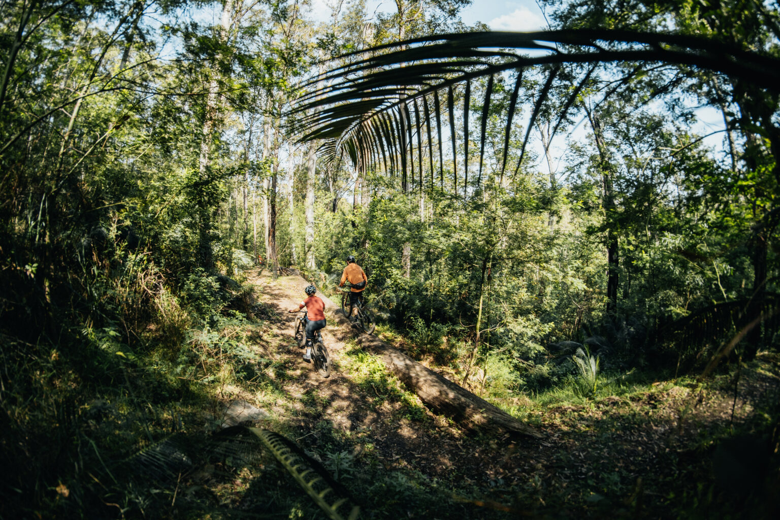 Everything You Need to Know About Mogo Mountain Bike Trails