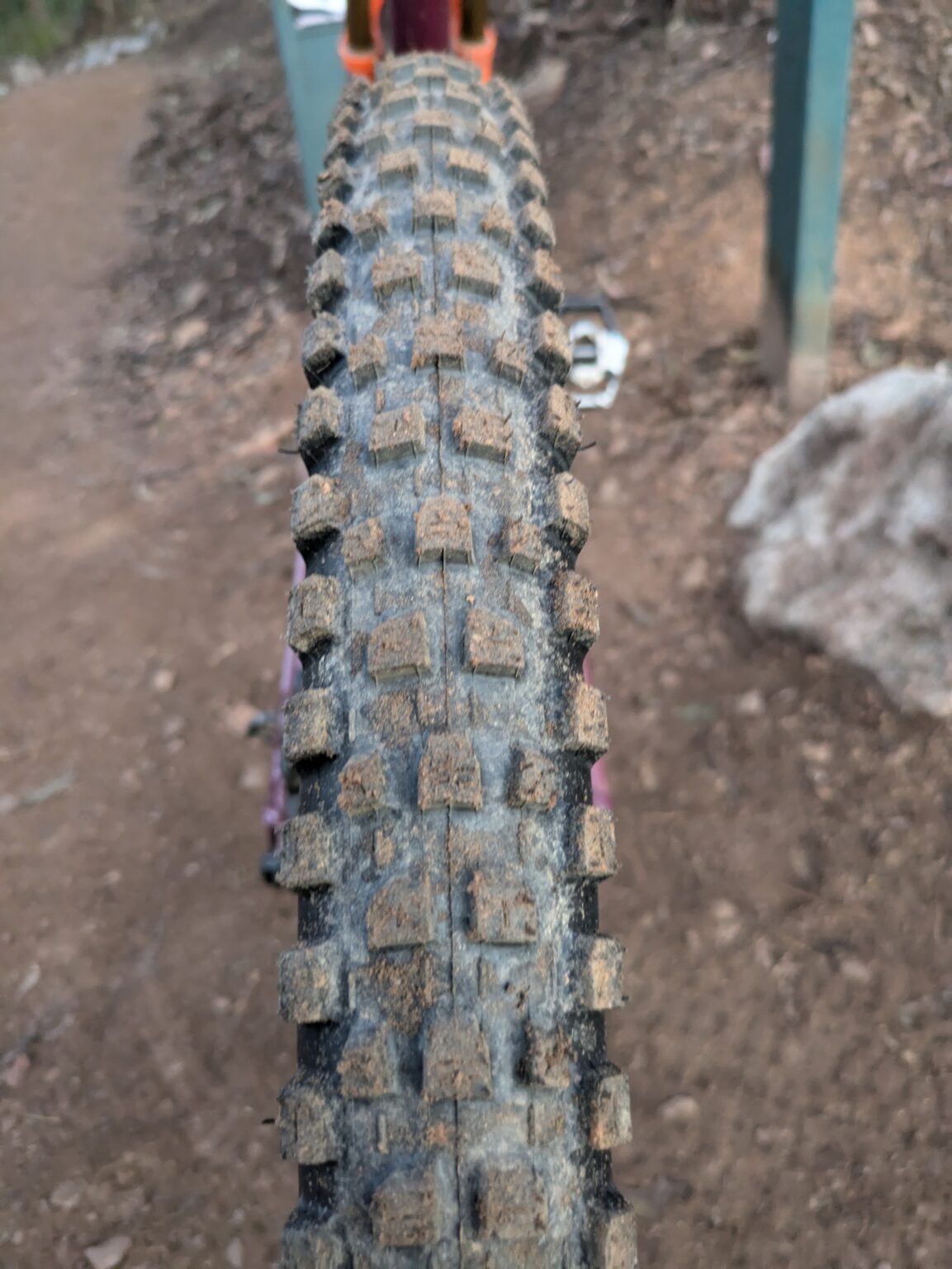 Maxxis Dissector Tyre Review: Trail Performance, Tread and Setup