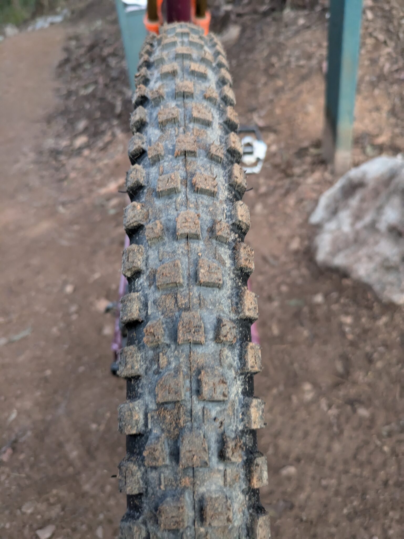 Maxxis Dissector Tyre Review: Trail Performance, Tread and Setup