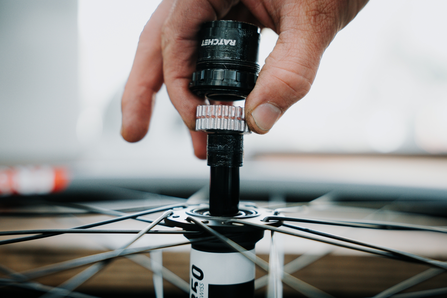 How to Service A Mountain Bike Freehub