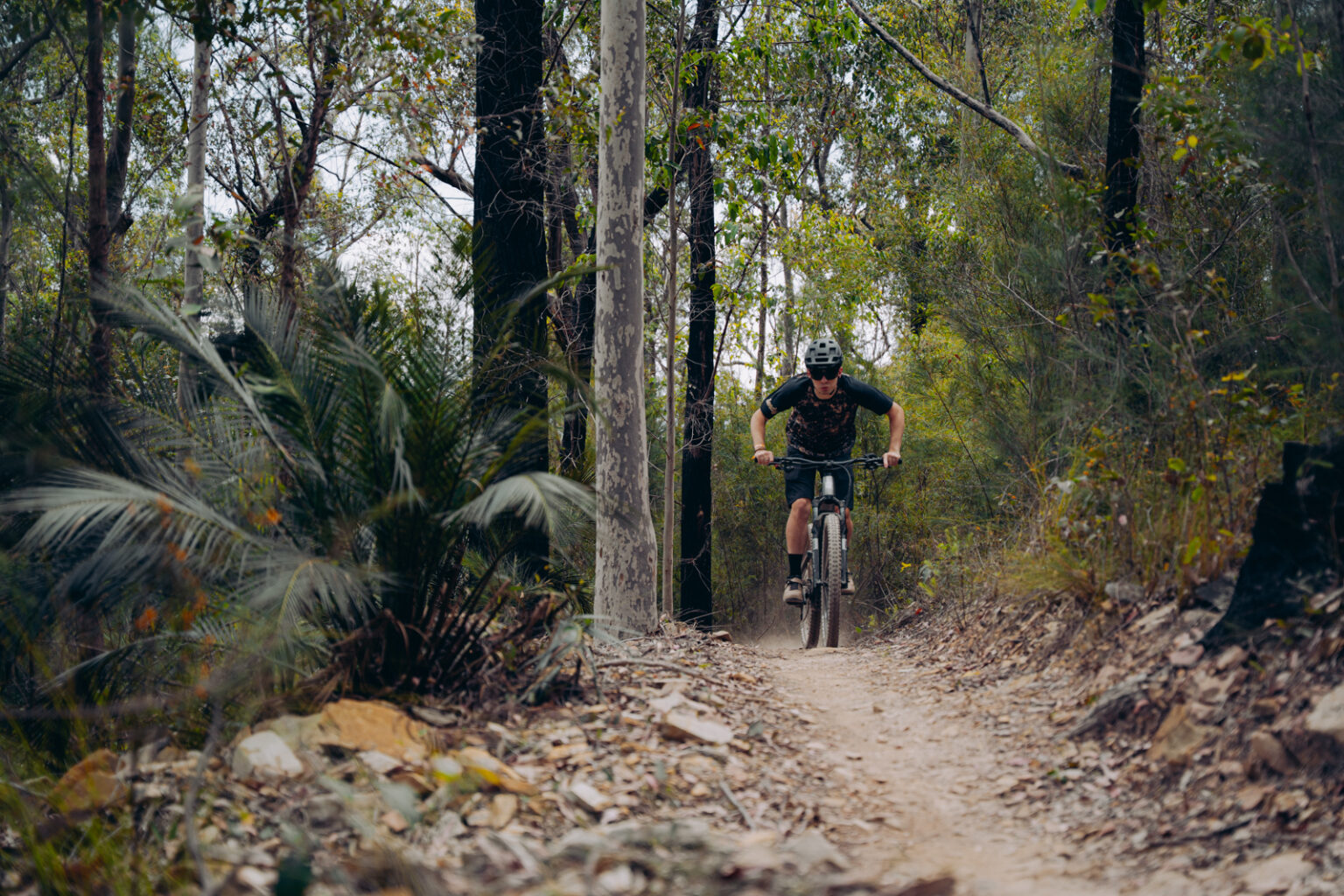 Focus Thron ABS 6.8 E-Mountain Bike Review