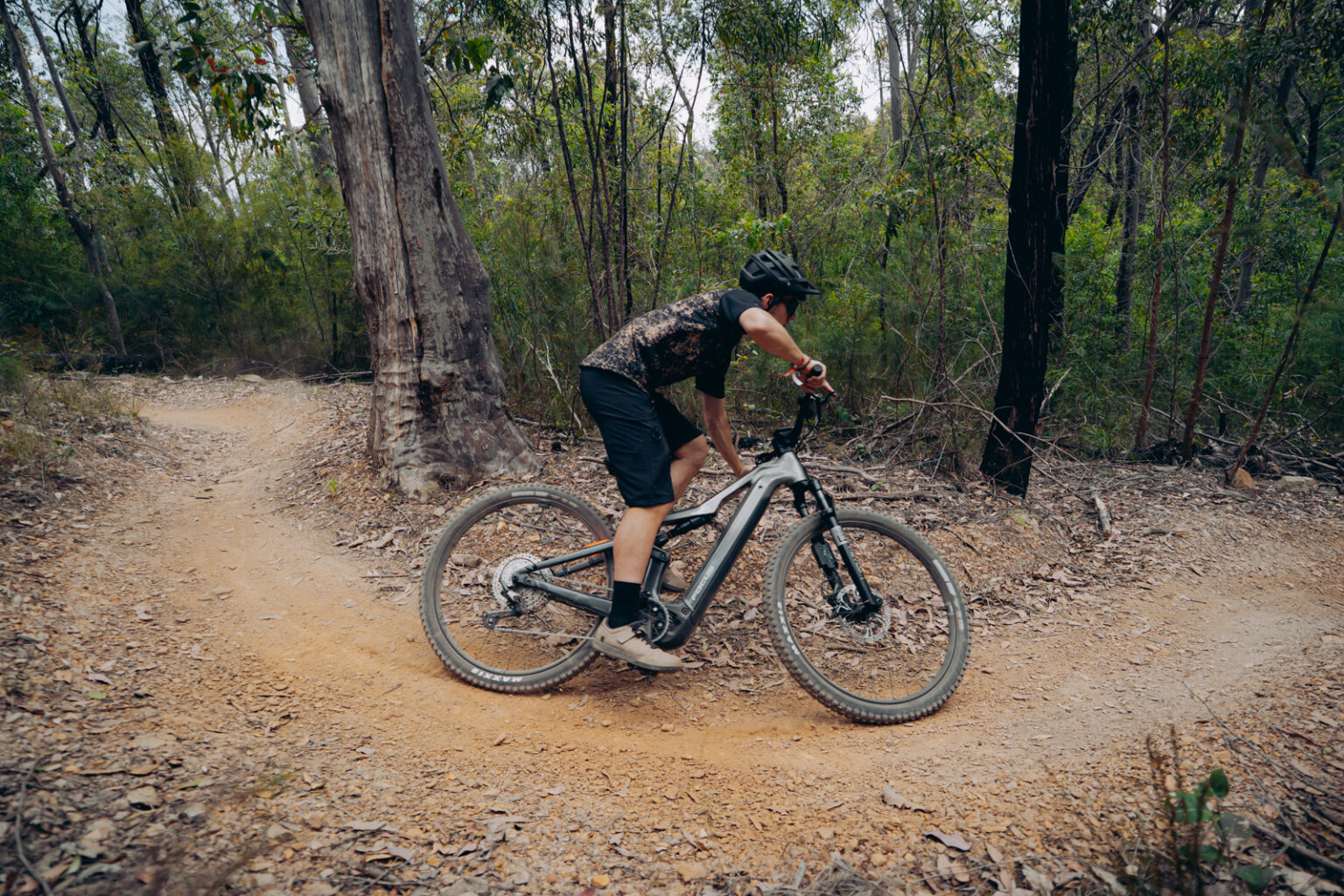 Focus Thron ABS 6.8 E-Mountain Bike Review