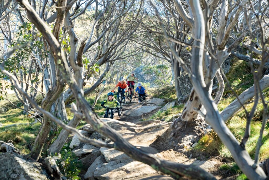 Thredbo Mountain Biking: Summer 2025/26 Guide