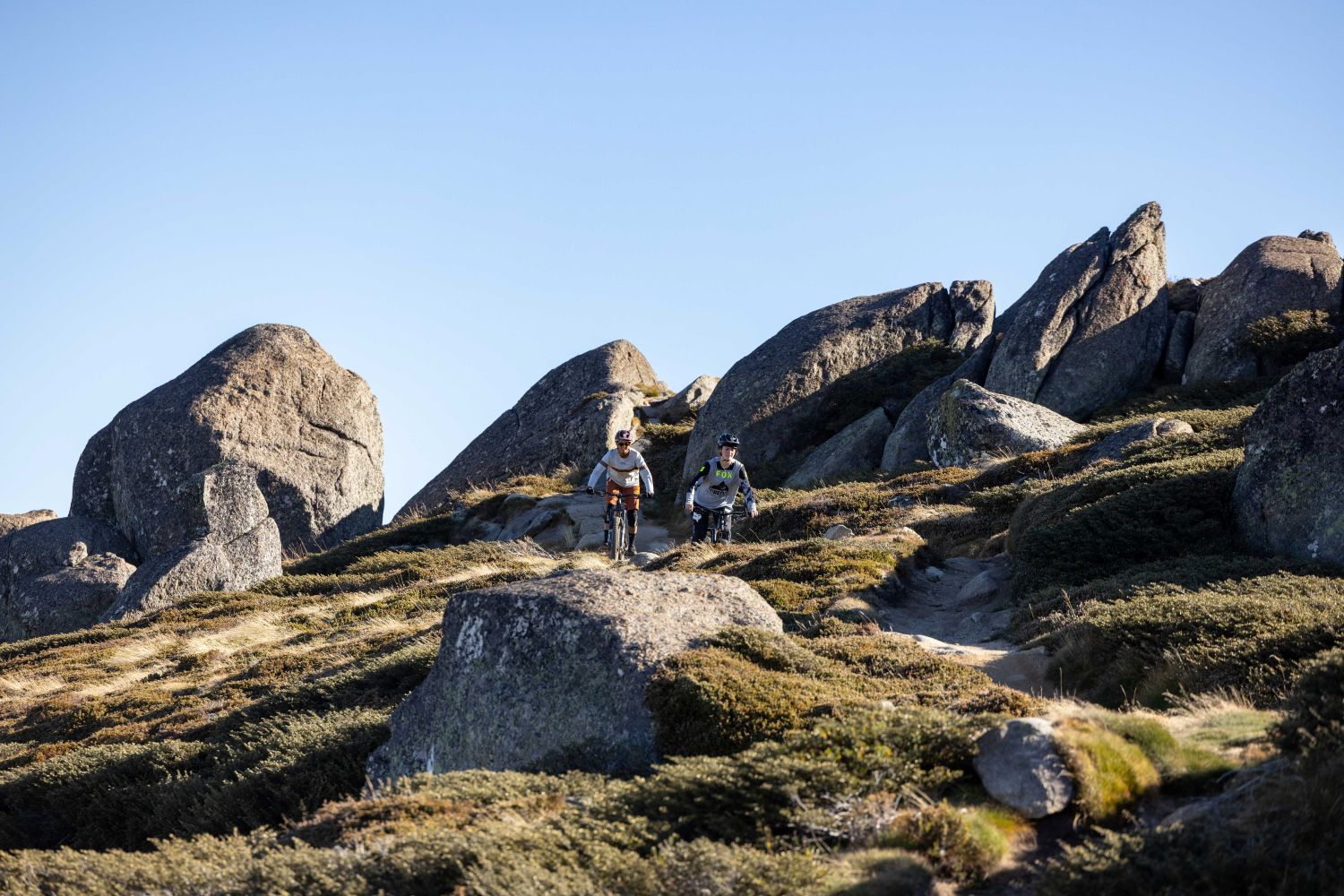 Thredbo Mountain Biking: Summer 2025/26 Guide