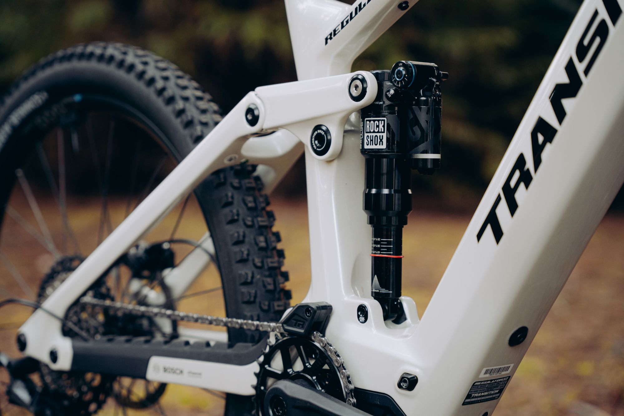 Transition Regulator SX and CX Review: Which is best?