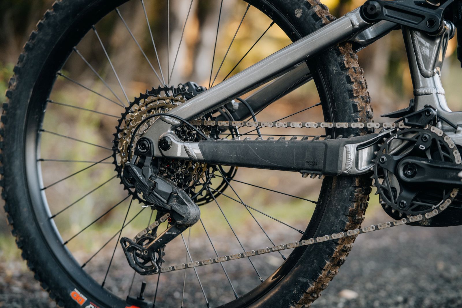 Don't Buy A Santa Cruz Vala AL Until You Read This Review