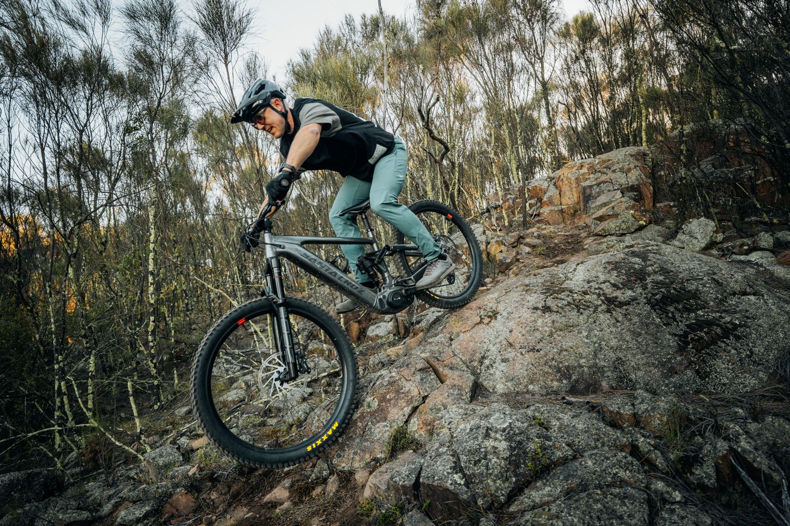 Don't Buy A Santa Cruz Vala AL Until You Read This Review