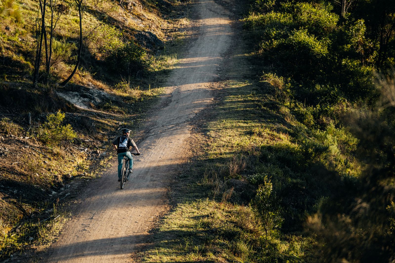 Don't Buy A Santa Cruz Vala AL Until You Read This Review