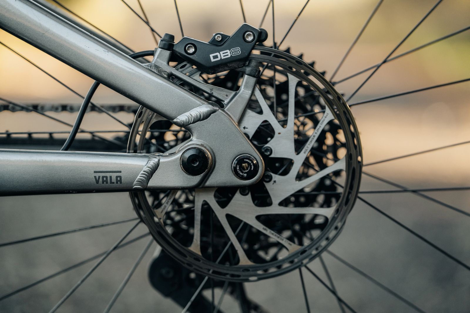 Don't Buy A Santa Cruz Vala AL Until You Read This Review