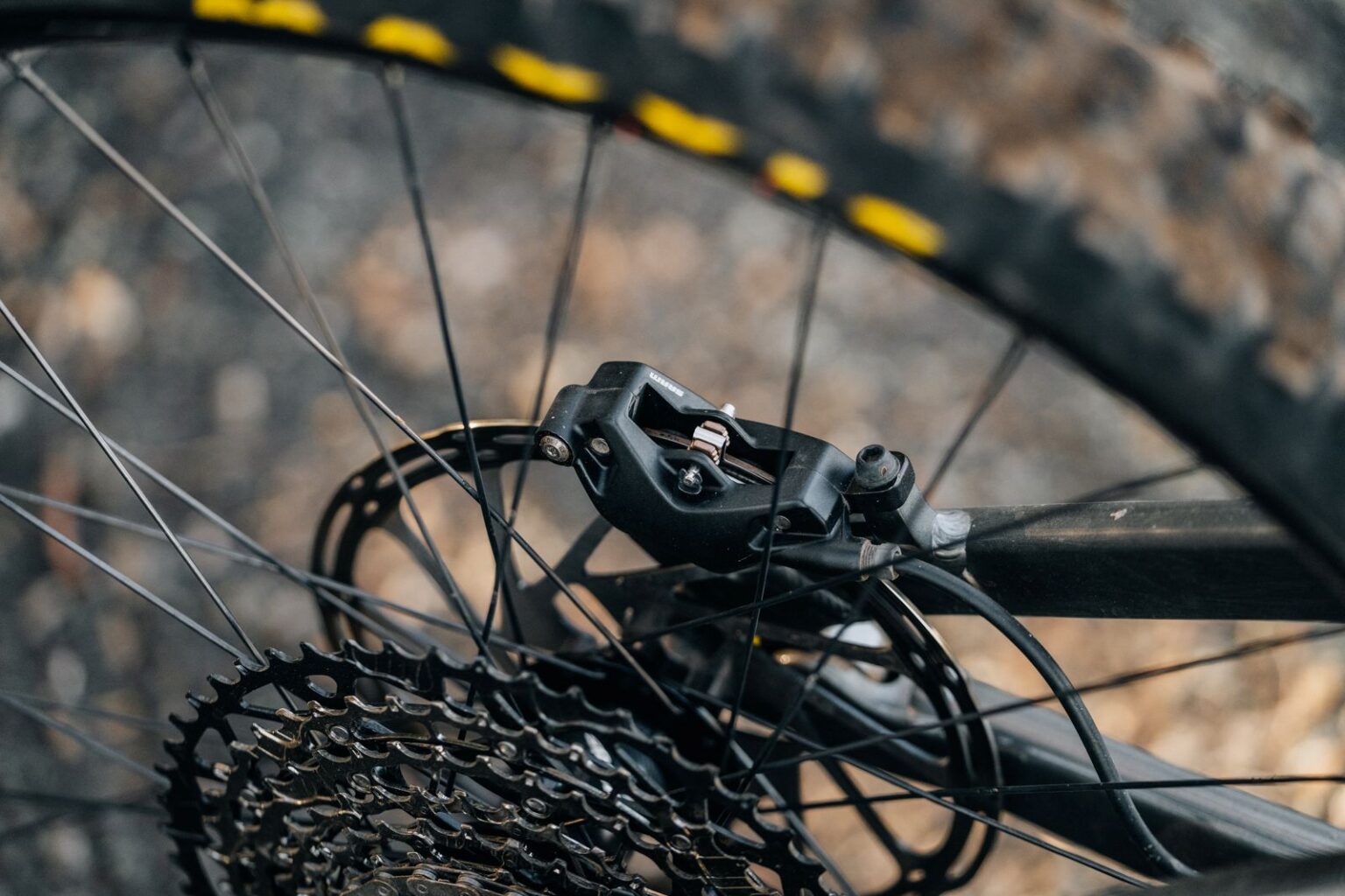 Don't Buy A Santa Cruz Vala AL Until You Read This Review