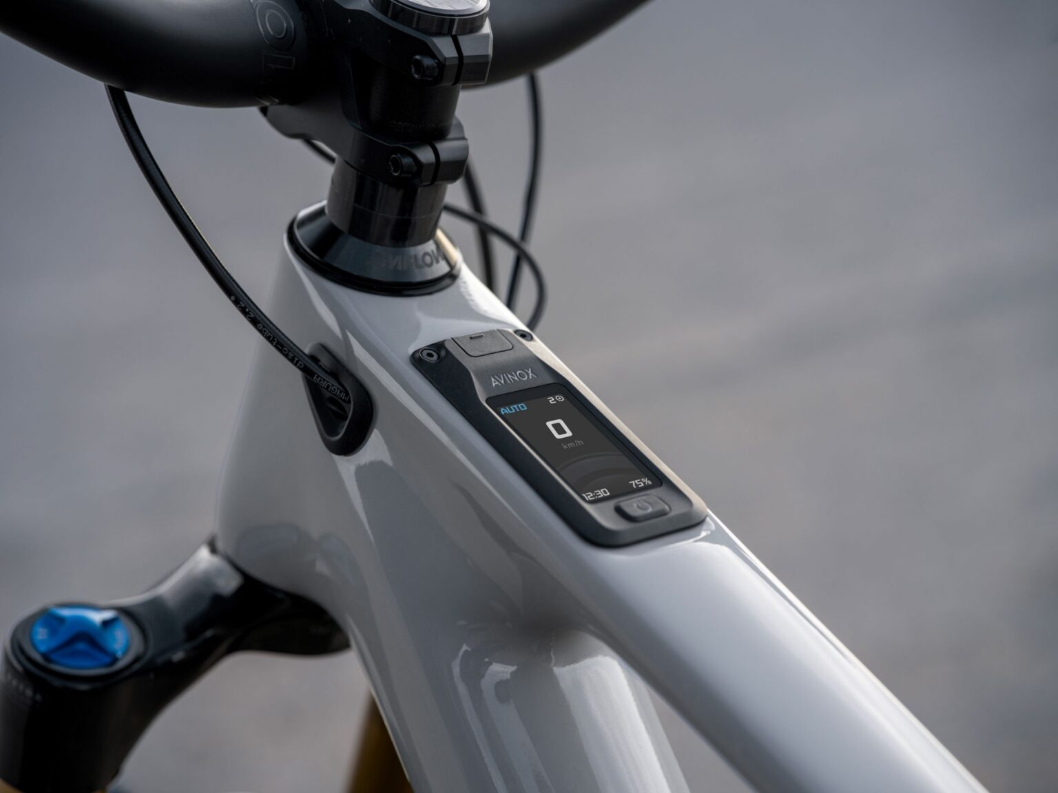 Amflow PX and PR eMTB Launch: Avinox M2S Motor, 150Nm and 1500W